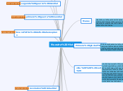 Nuestra Historia - Mind Map